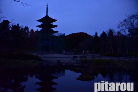 ＃7 浄土宗極楽山西方寺 五重塔 2019年11月 : pitarouファミリーのブログ