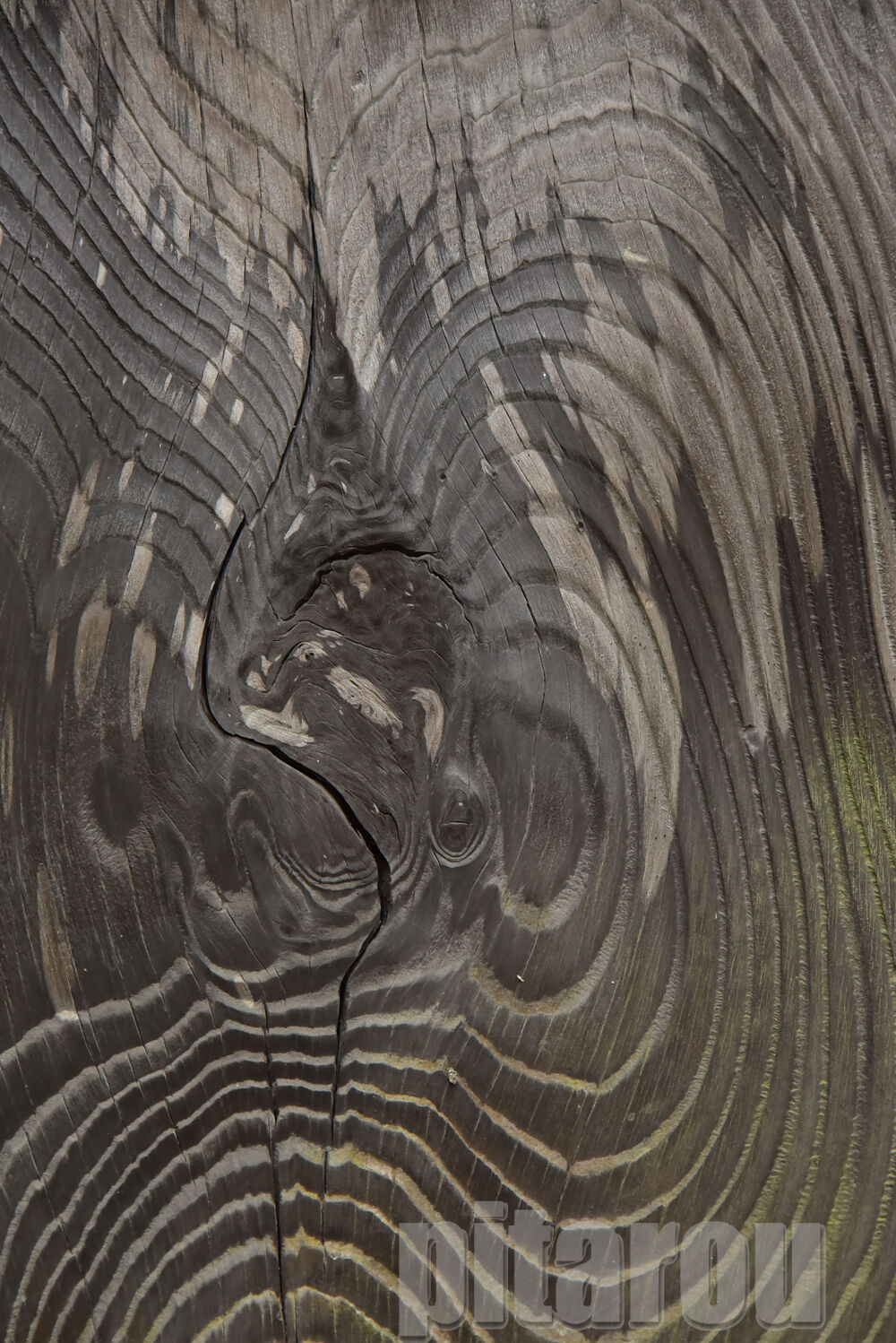 北山資福寺 : pitarouファミリーのブログ