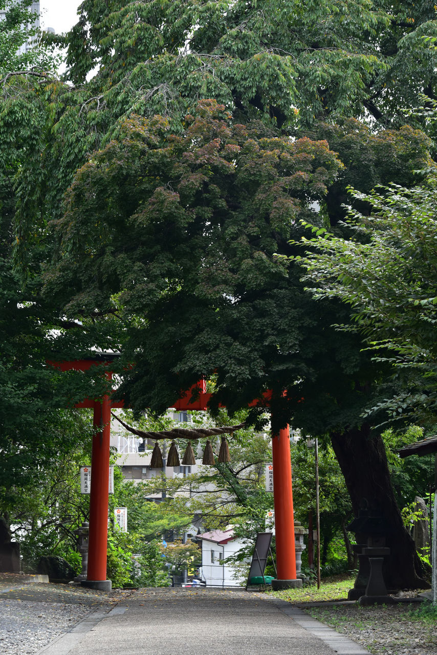 2018年09月 : pitarouファミリーのブログ