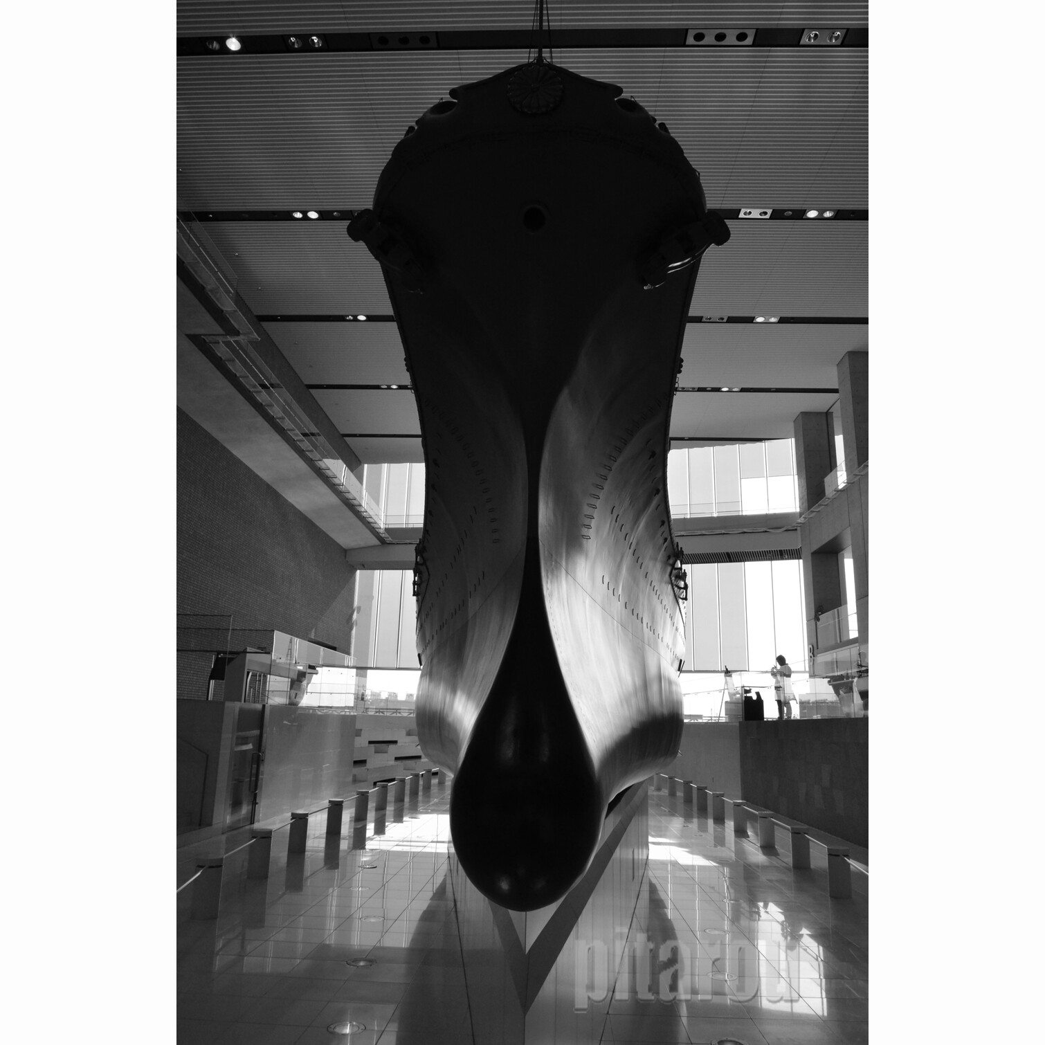 pitarouファミリーのブログ