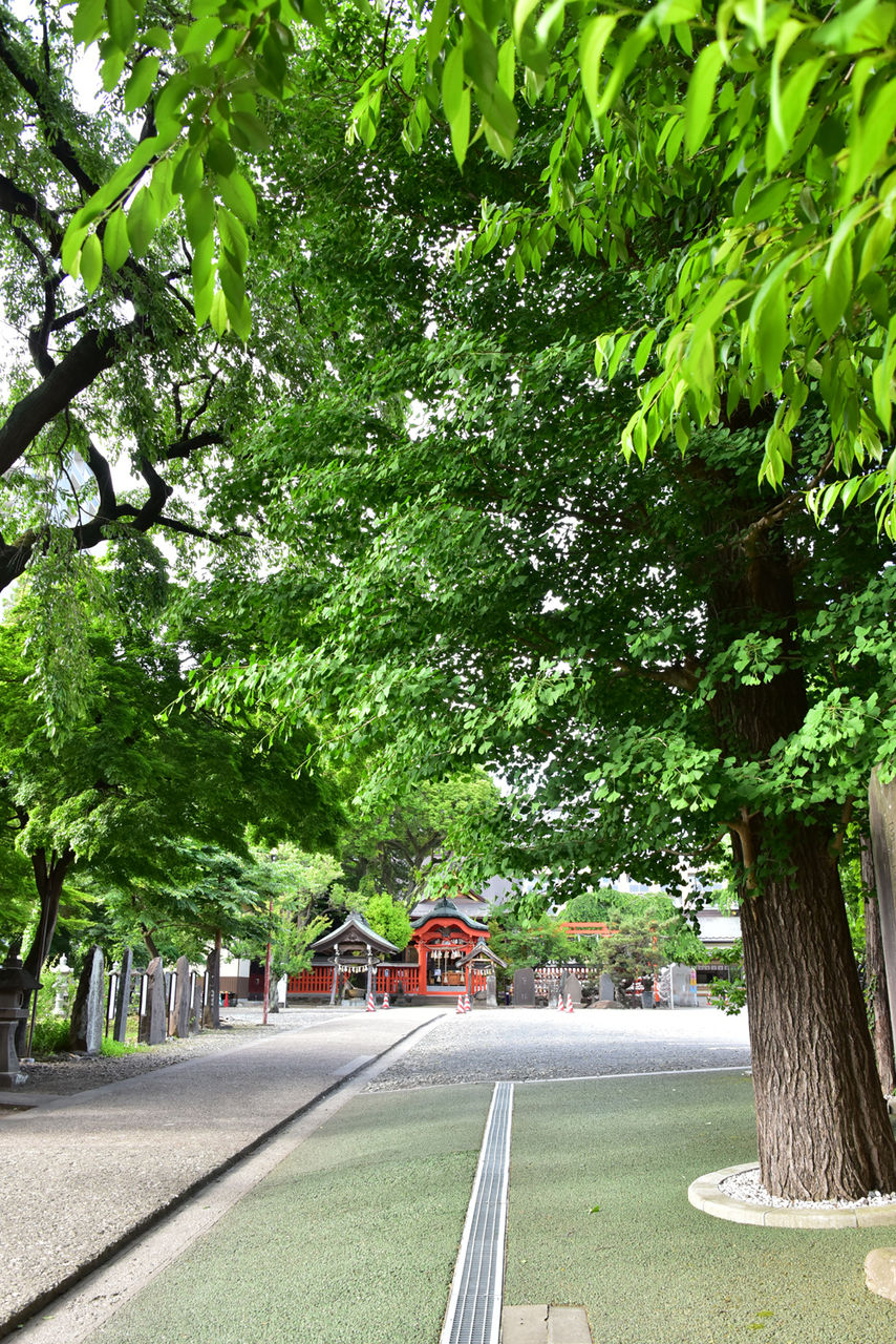 榴岡（つつじがおか）天満宮に参拝してきました。6月1日 : pitarouファミリーのブログ