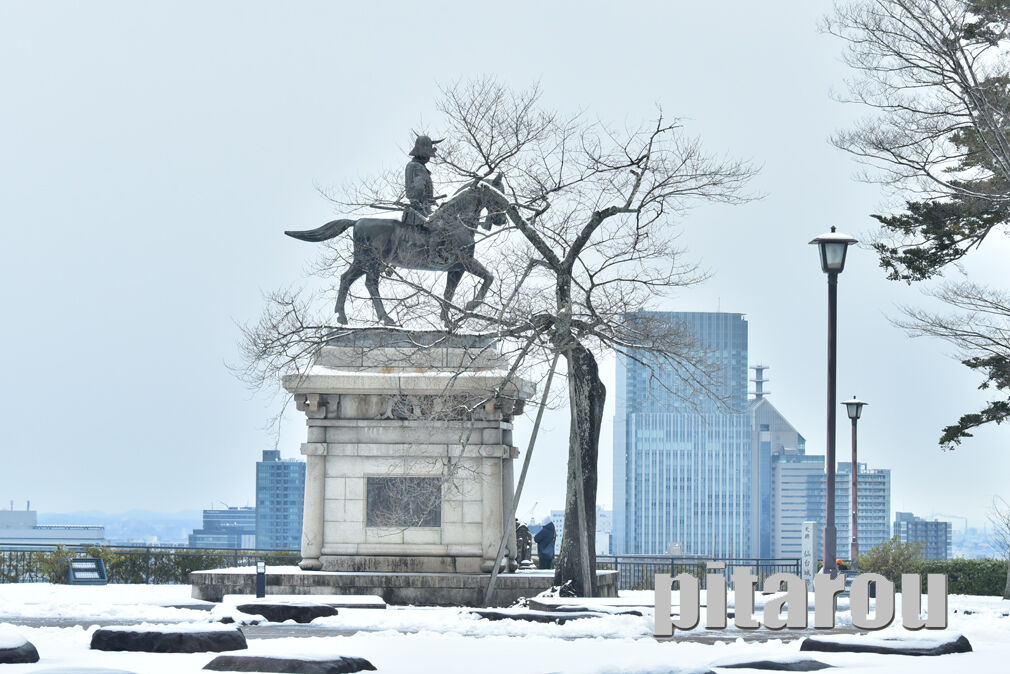 宮城県護国神社 : pitarouファミリーのブログ