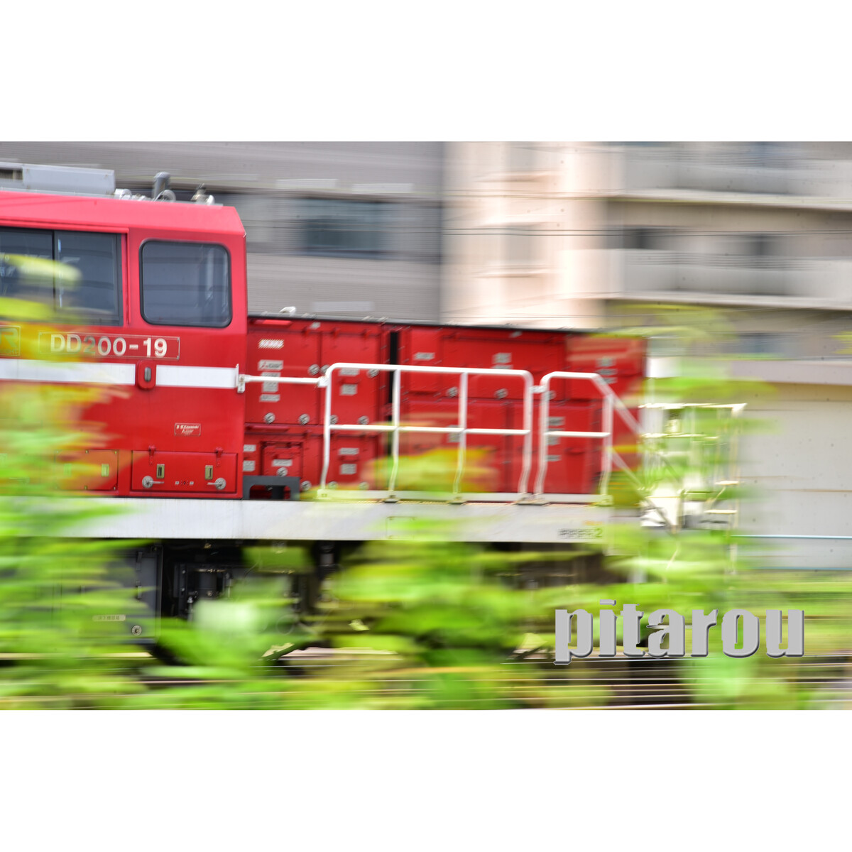 pitarouファミリーのブログ