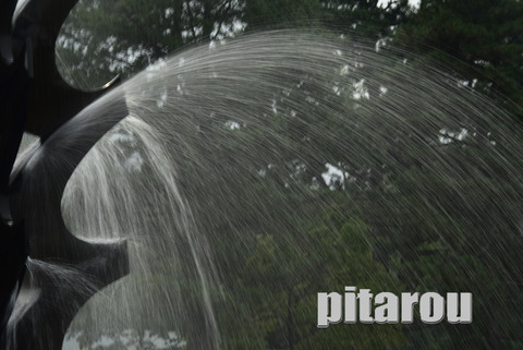 榴岡公園蝉撮り 2021年7月29日撮影 : pitarouファミリーのブログ