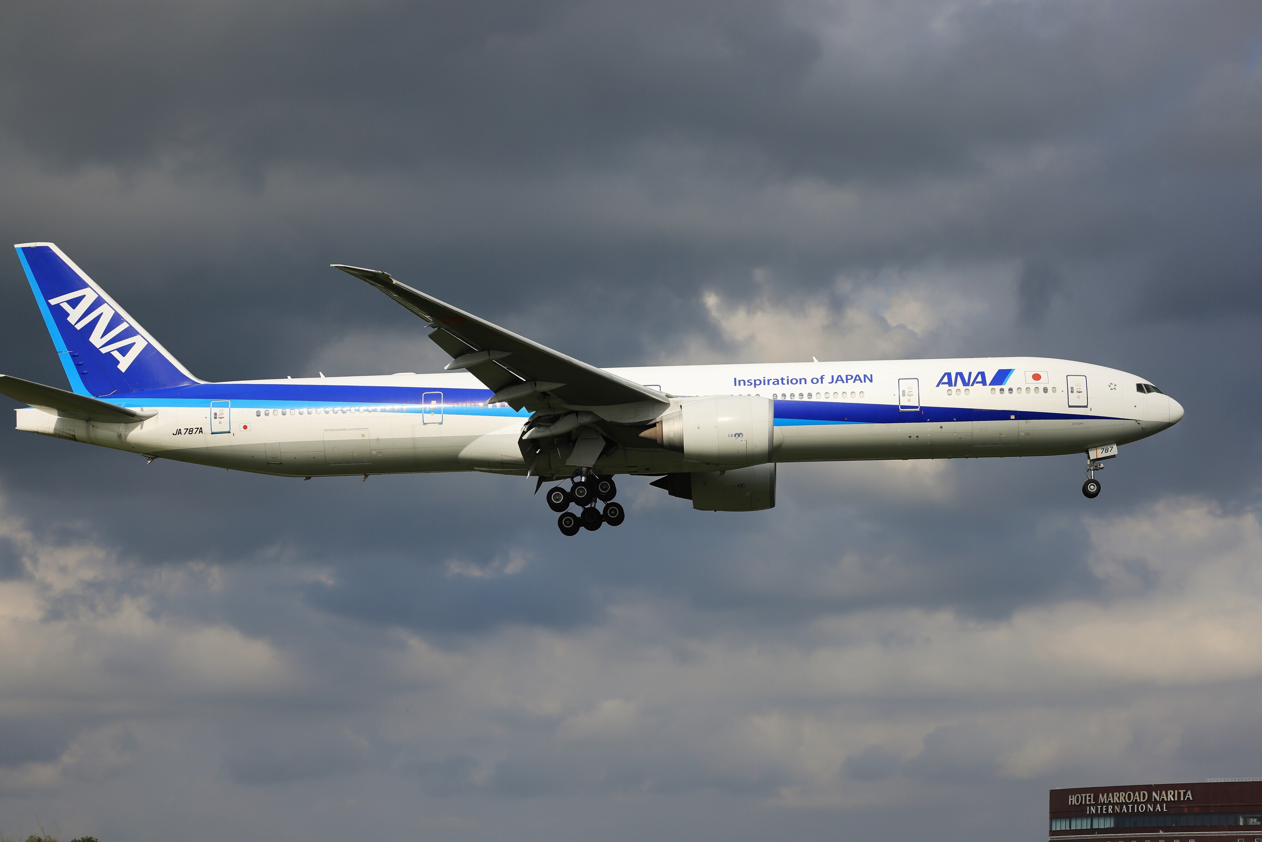 20230910(2337-361) さくらの山 南風 (B773・A333・絶滅危惧種のB733) : 旅客機と周辺生物の写真