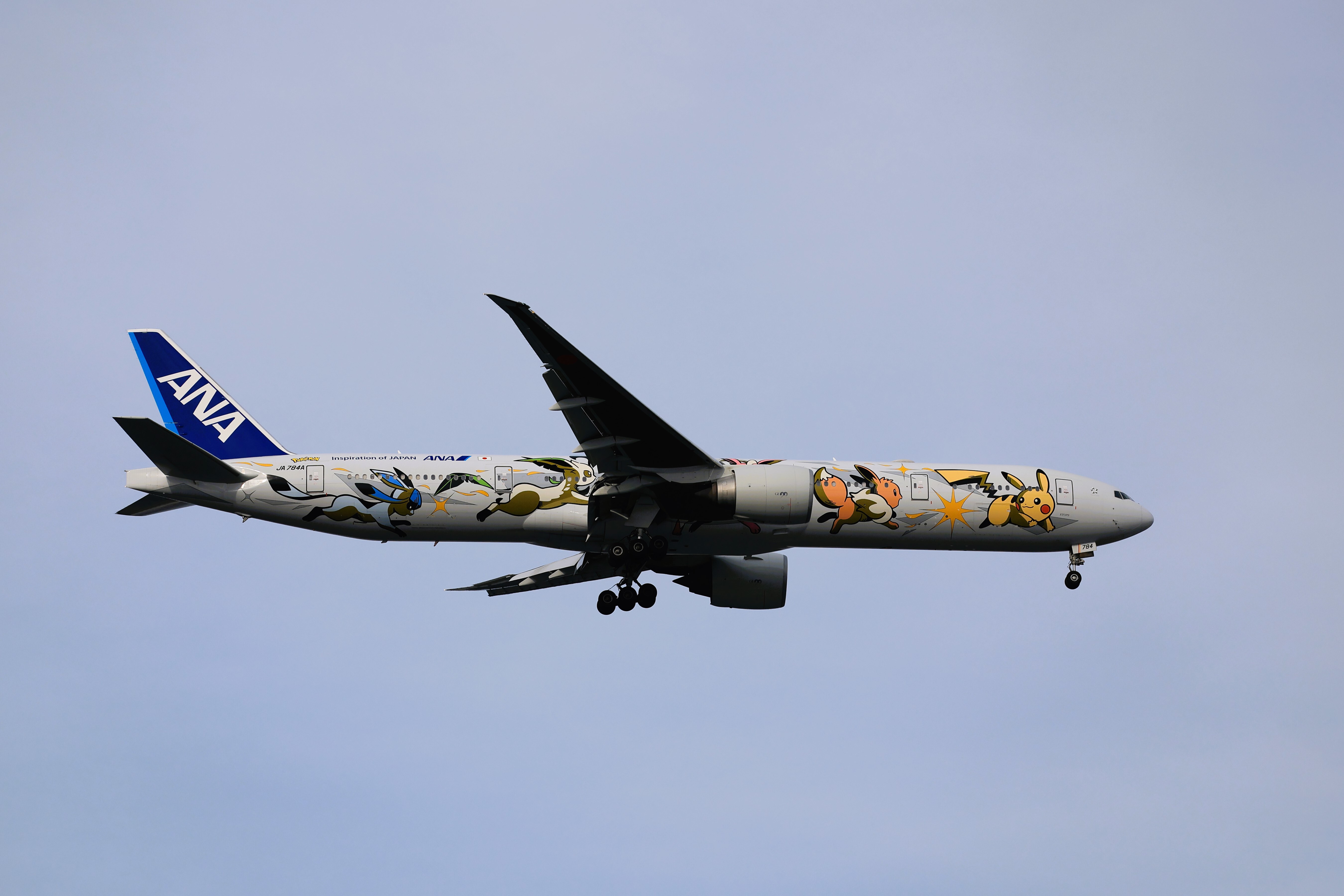 20240428(2607-160) 京和橋 (ANA イーブイジェット) : 旅客機と周辺生物の写真