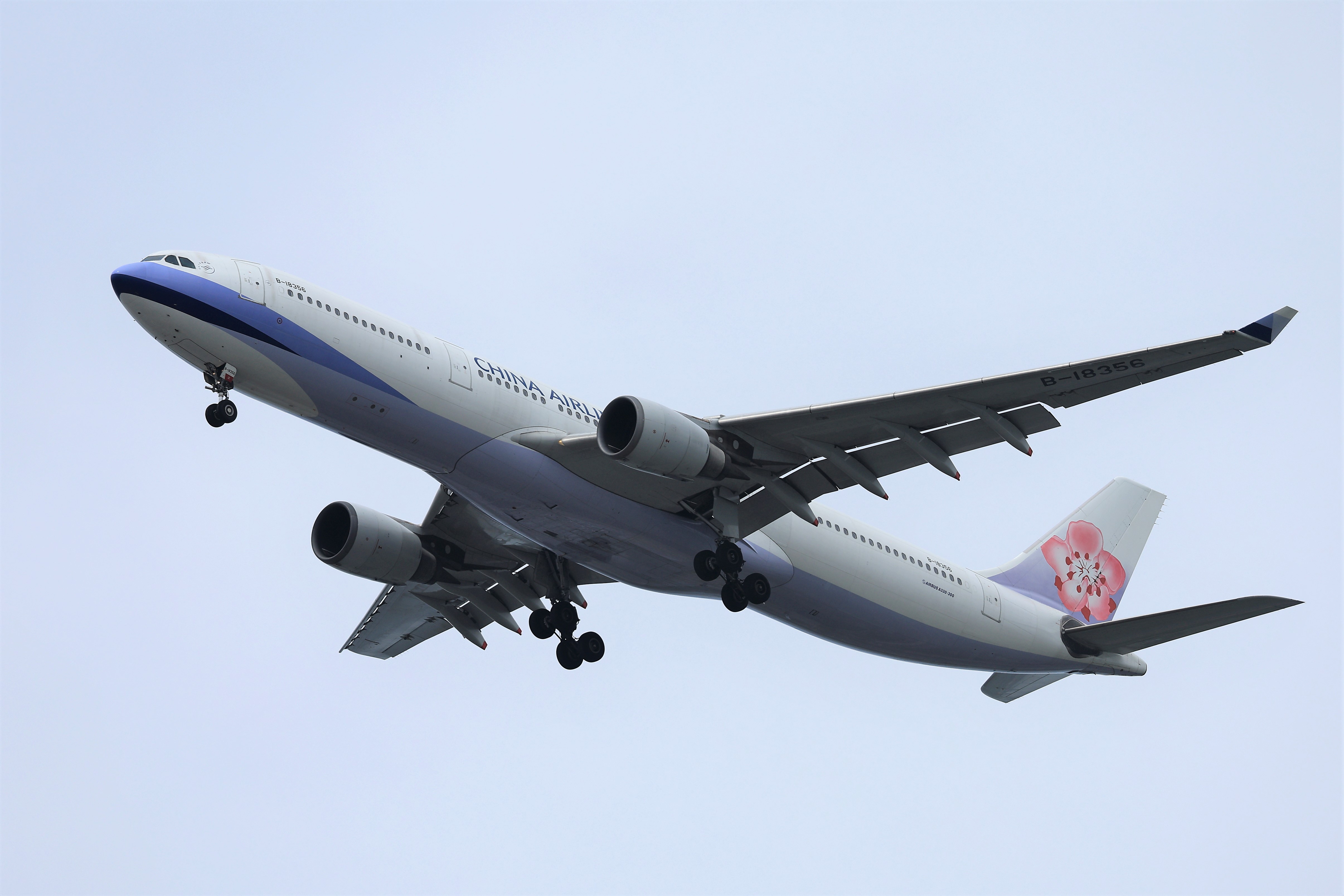 20230419(2124-150) 令和島 敗者復活戦 (台湾A333・中国東方航空A332) : 旅客機と周辺生物の写真
