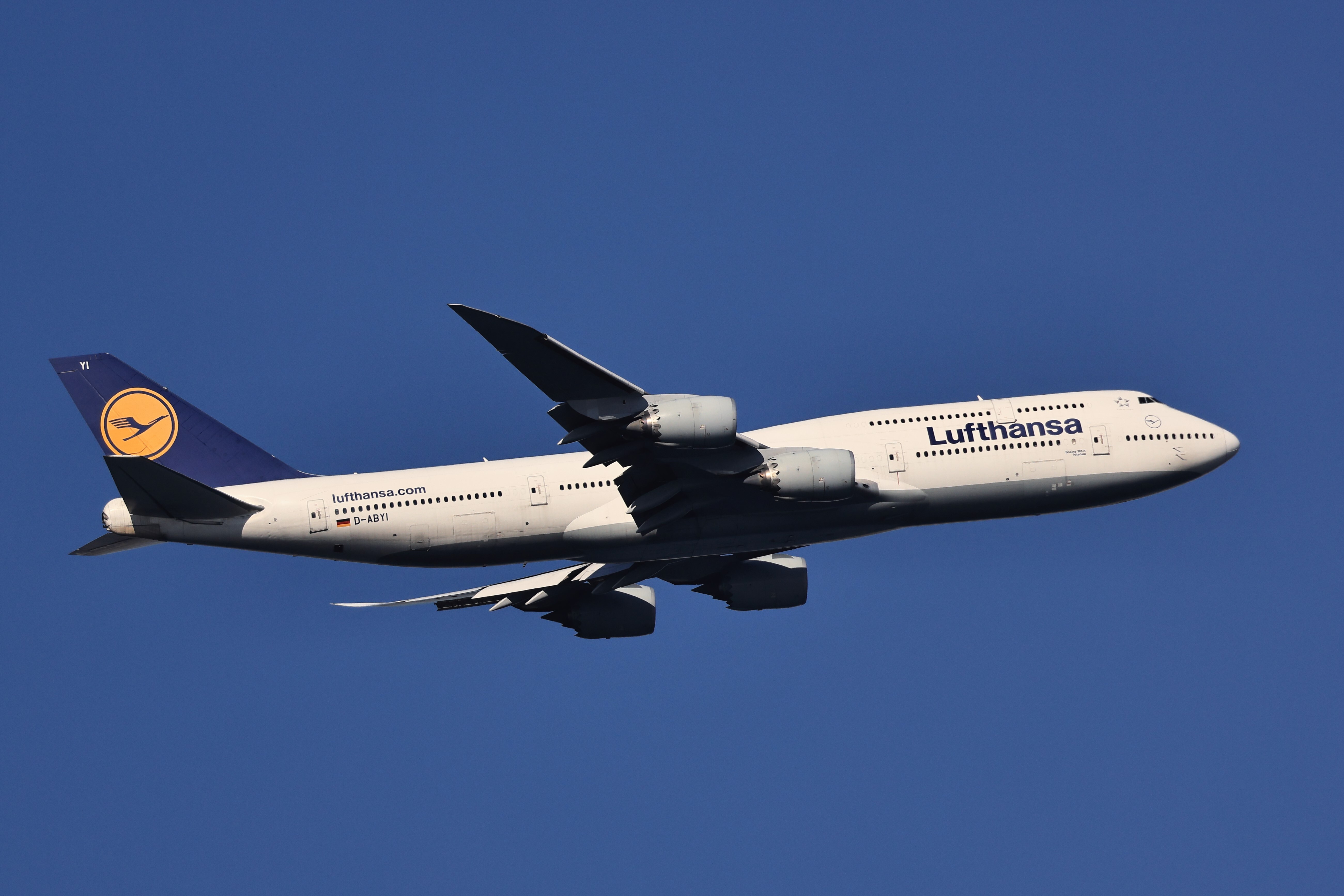 20231130(2423-448) 中央防波堤 (LHジャンボ) : 旅客機と周辺生物の写真