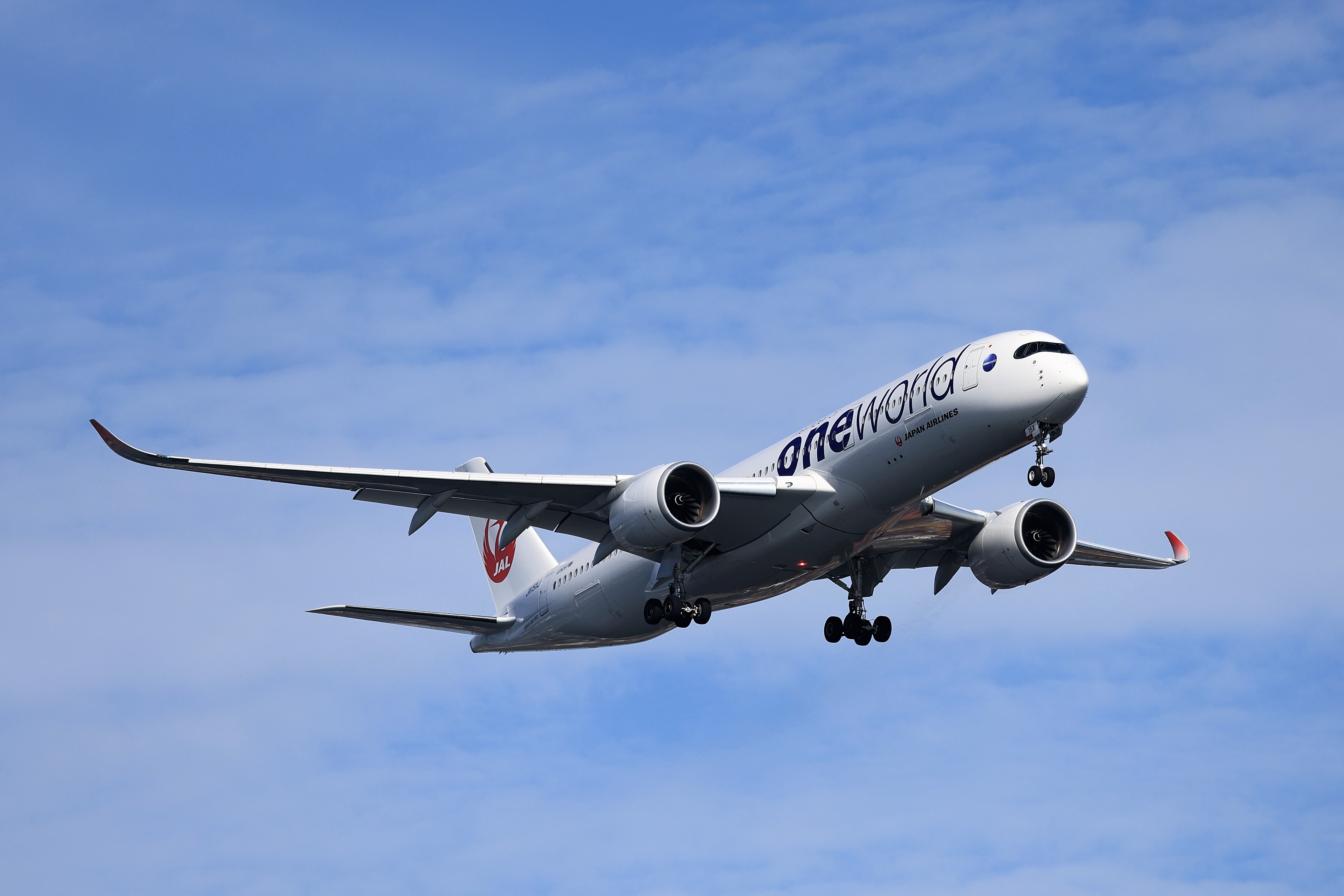 20221021(1888-338) 城南島 (フィリピンA321・JAL A359・ウミウ・愛) : 旅客機と周辺生物の写真