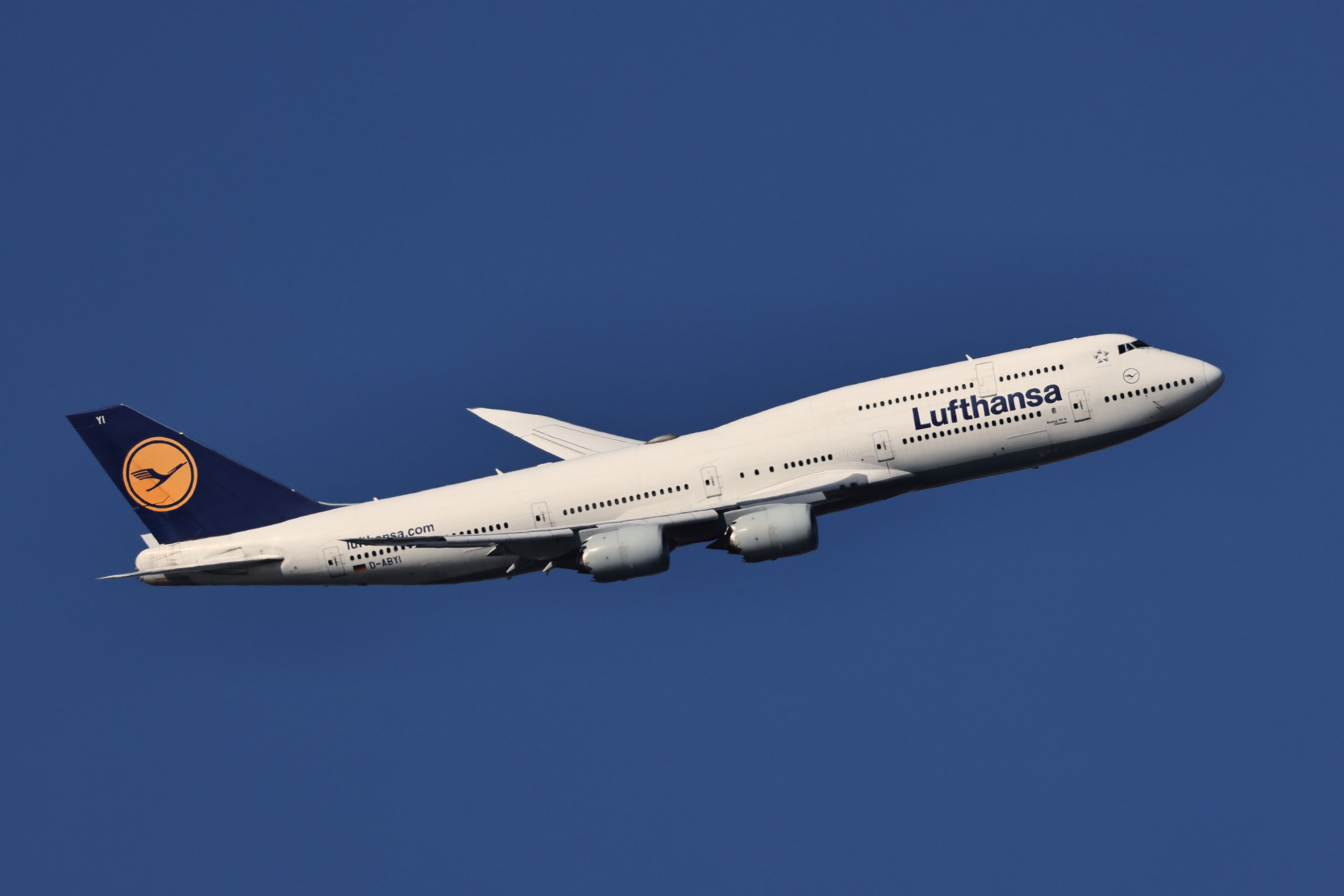 20231130(2423-448) 中央防波堤 (LHジャンボ) : 旅客機と周辺生物の写真