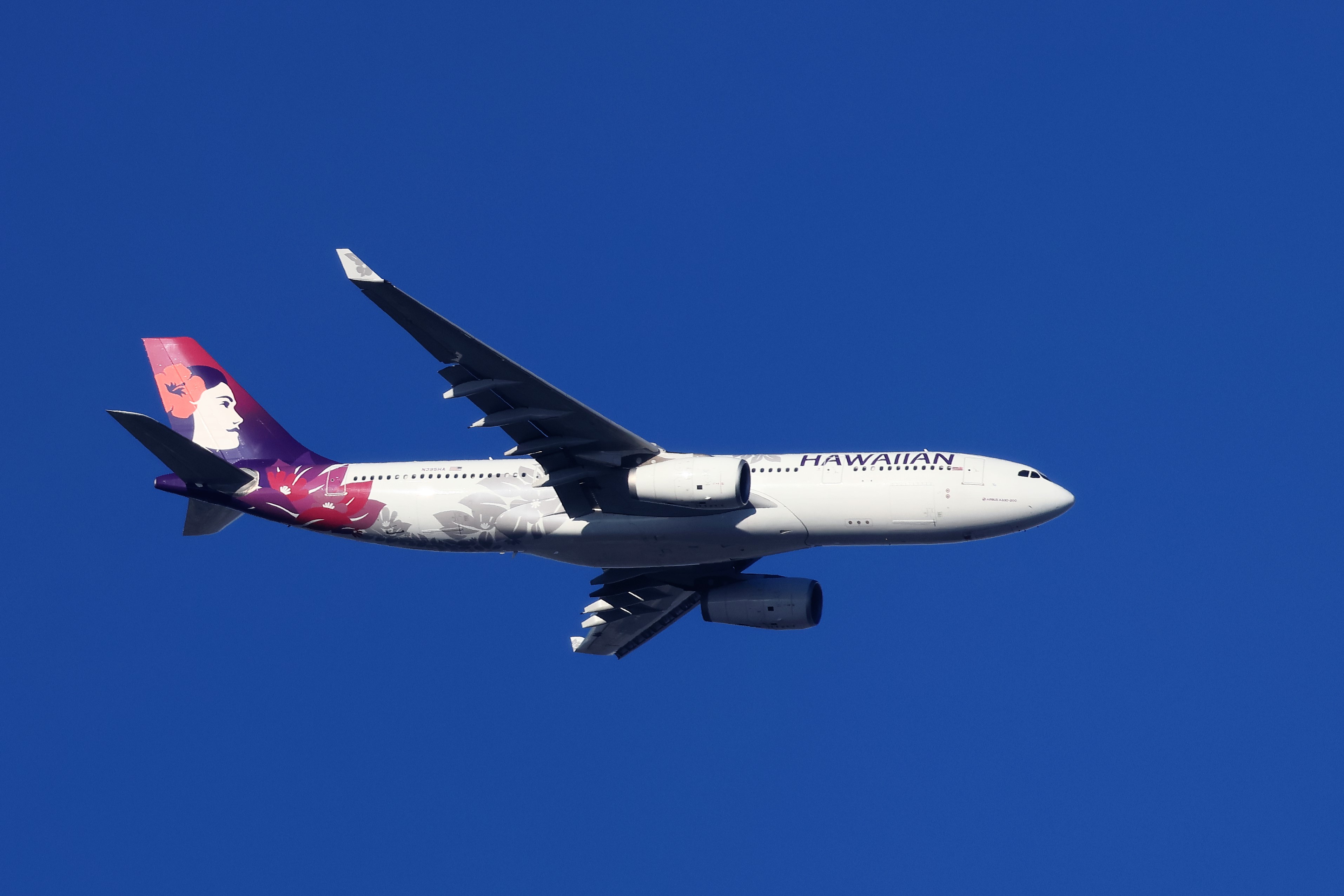 20220906(1819-269) 中野上空のハワイアンA332 : 旅客機と周辺生物の写真
