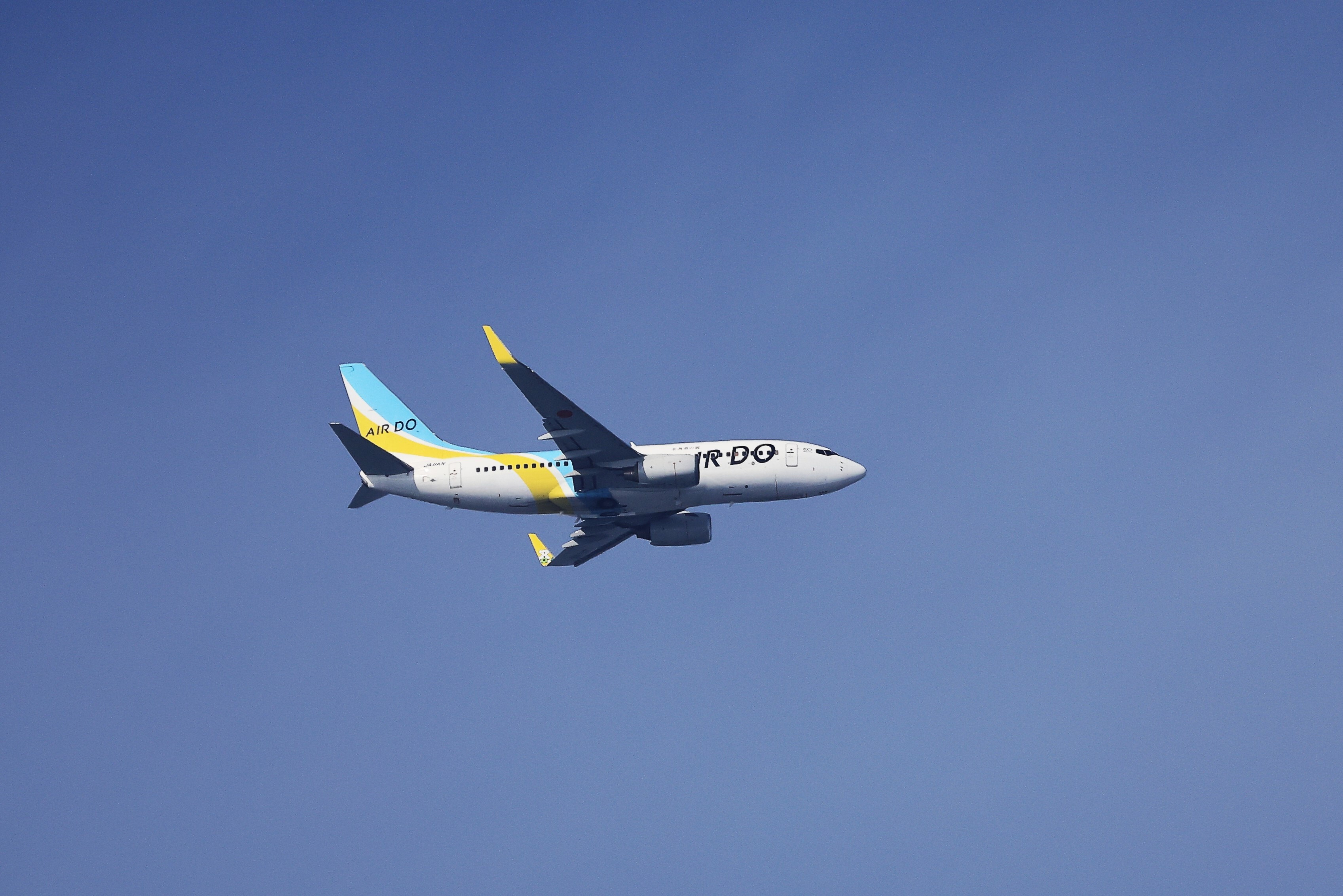 20240718(2682-235) 中野上空機(Finnair・United・Jal・AirDo・ANA・Skymark) : 旅客機と周辺生物の写真