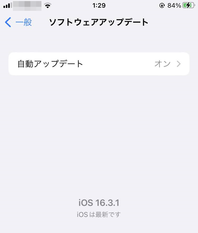 iPhone SE2 にiOS16.3.1 : 天ぷら蕎麦が美味しい隠れたブログ2