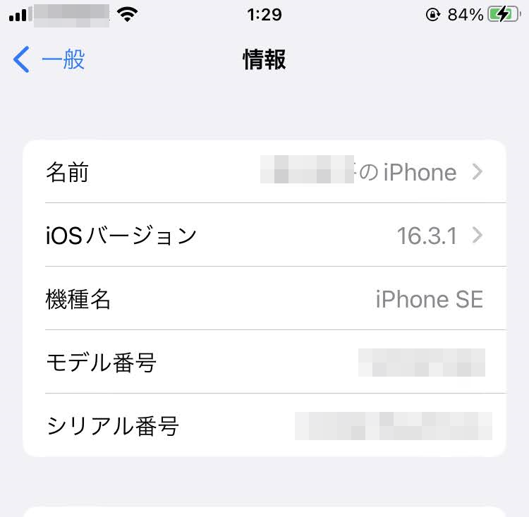 iPhone SE2 にiOS16.3.1 : 天ぷら蕎麦が美味しい隠れたブログ2