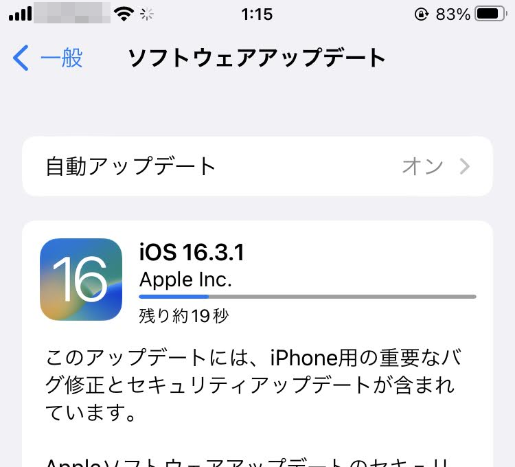 iPhone SE2 にiOS16.3.1 : 天ぷら蕎麦が美味しい隠れたブログ2