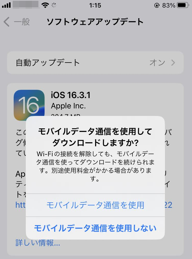 iPhone SE2 にiOS16.3.1 : 天ぷら蕎麦が美味しい隠れたブログ2