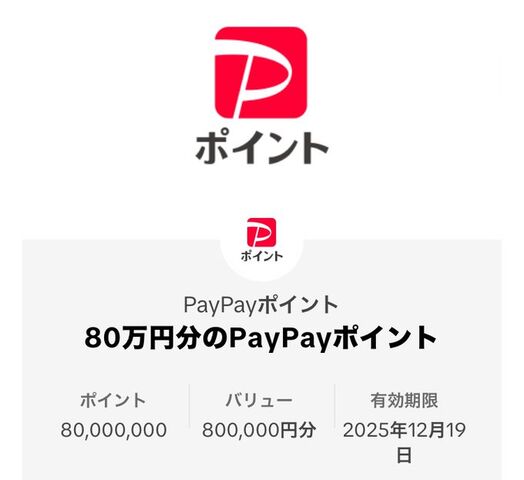 【画像】PayPayに表示された『とんでもない画面』。これって現実？ ぶる速-VIP