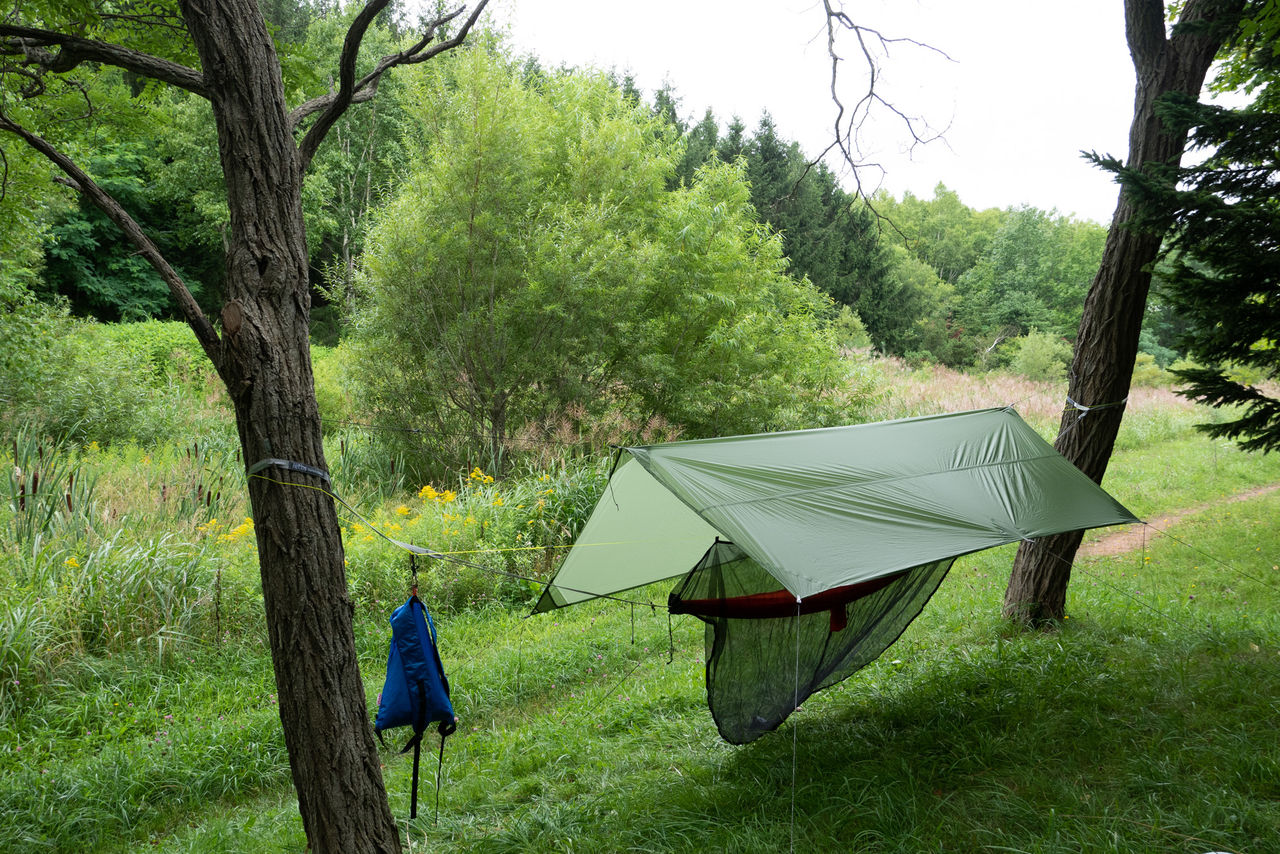 ハンモックで寝るなら是非 [Hummingbird Hammocks Warbler Net ハンモックで寝るなら是非 [Hummingbird Hammocks Warbler Net