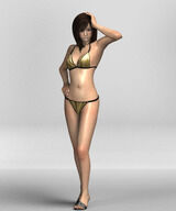 「Shade 10 Basic With Hanako」を買った。 : ポザ孕 -Poserで孕ませを突き詰めてみる。-