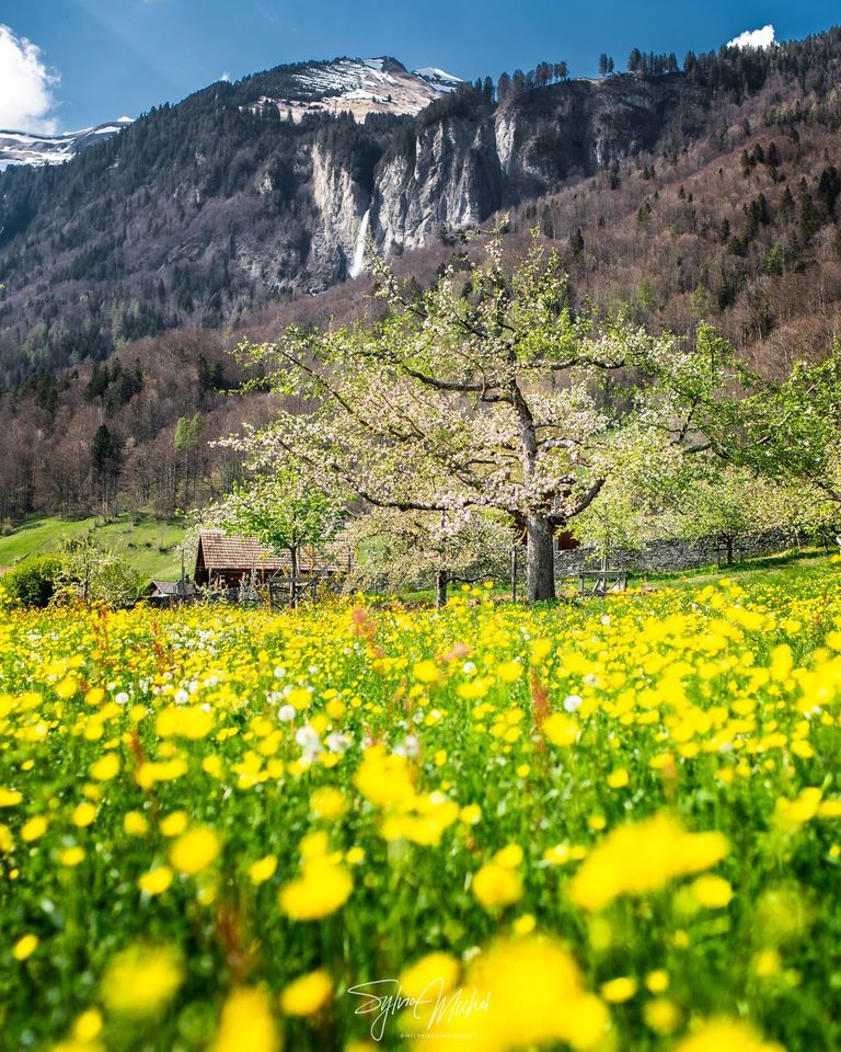 PRC－104（HF） PRC－119E（L－VHF） PRC－113（VHF，UHF）アマチュア無線 軍用無線 その他 : 軍用無線のブログ ...