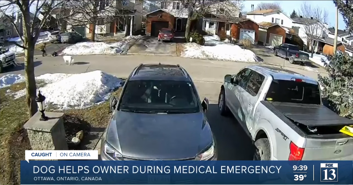 PRC－104（HF） PRC－119E（L－VHF） PRC－113（VHF，UHF）アマチュア無線 軍用無線 その他 : 軍用無線のブログ ...