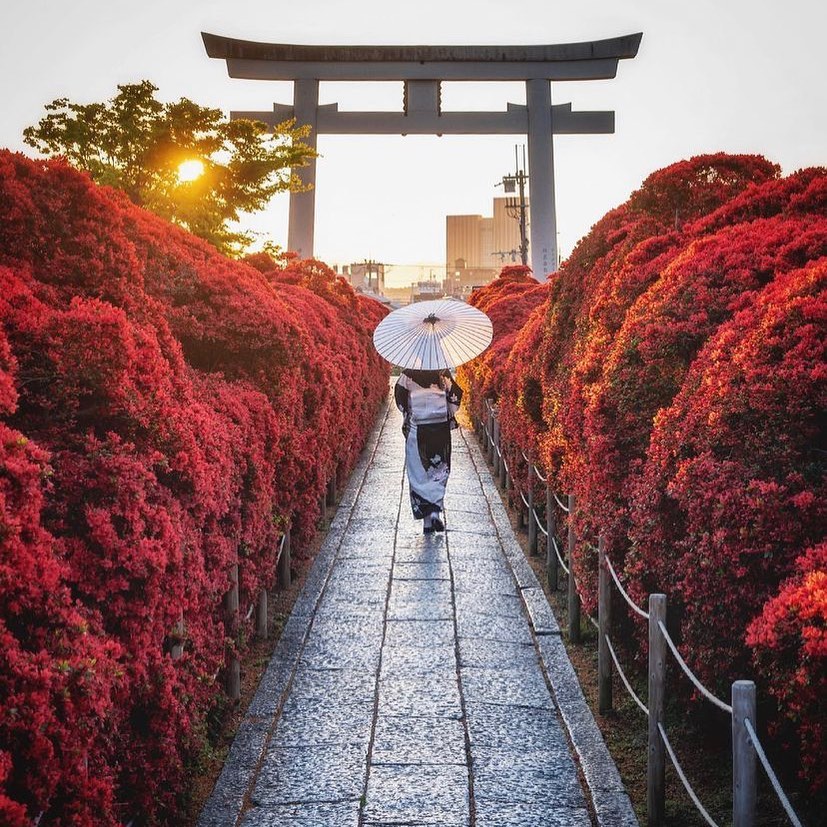 PRC－104（HF） PRC－119E（L－VHF） PRC－113（VHF，UHF）アマチュア無線 軍用無線 その他 : 軍用無線のブログ ...