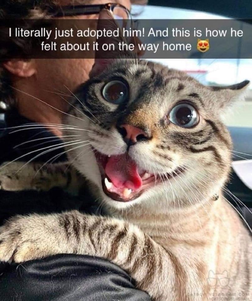 PRC－104（HF） PRC－119E（L－VHF） PRC－113（VHF，UHF）アマチュア無線 軍用無線 その他 : 軍用無線のブログ ...