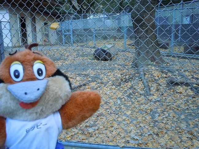 サイクリング9 : 大阪府庁職員ブログ