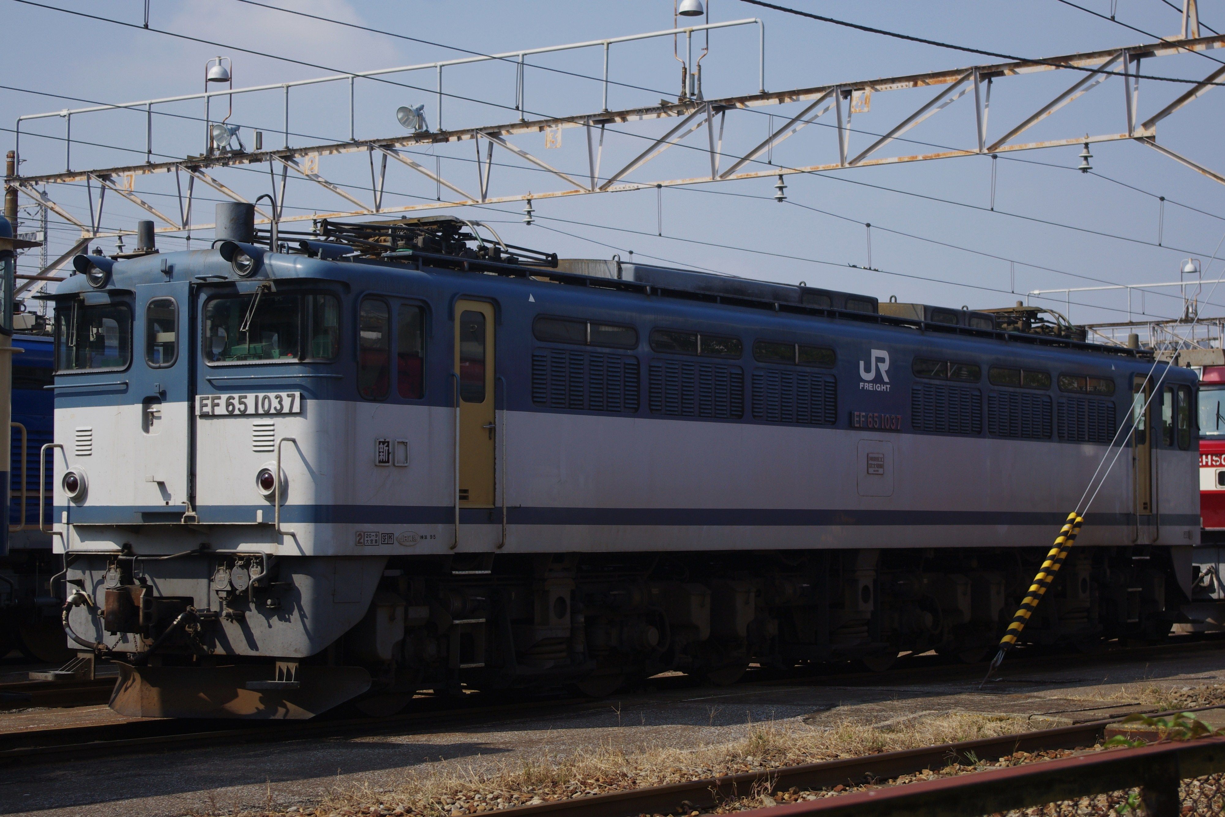 JR東日本/JR貨物 EF65 PF : EF65 1037 [新] 更新色 白プレート