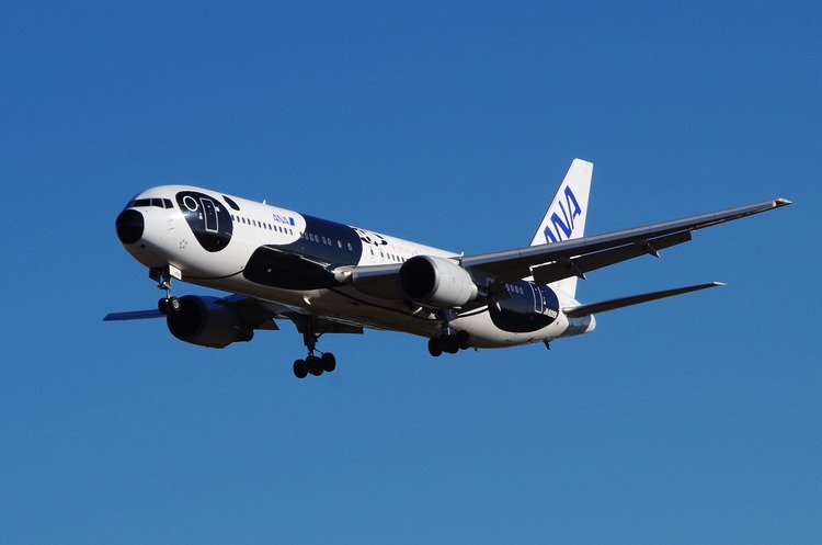ANA B767-300ER "Fly Panda!" 【2013/12/15 成田Rwy34端】 : ロロちゃんが撮った飛行機たち。