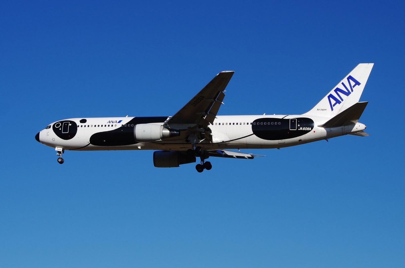 ANA B767-300ER "Fly Panda!" 【2013/12/15 成田Rwy34端】 : ロロちゃんが撮った飛行機たち。
