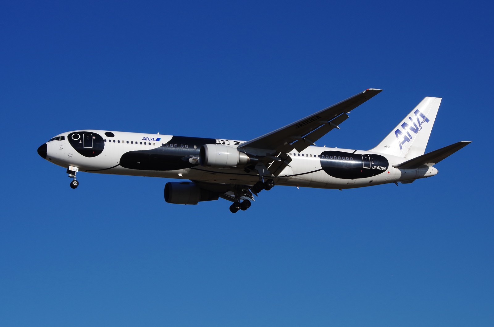 ANA B767-300ER "Fly Panda!" 【2013/12/15 成田Rwy34端】 : ロロちゃんが撮った飛行機たち。