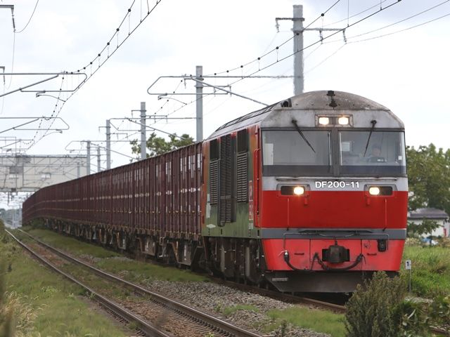 8055レ : 王子の住処 別館
