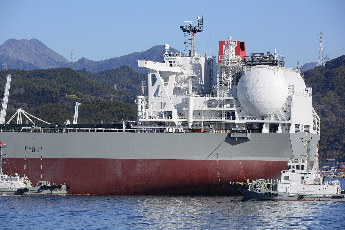 CAPE HAYATE : 毎日が日曜日3