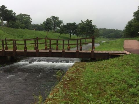 『海外プロジェクトファイナンスの世界』:危うきに近寄らず (PF575)