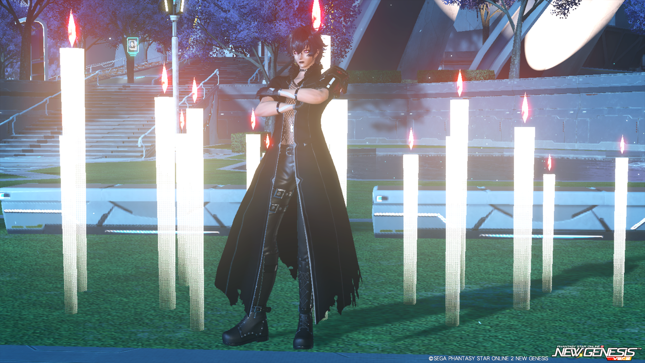 《PSO2･NGS》ARKSコーディネート部｡:↳N-ｺｰﾃﾞ