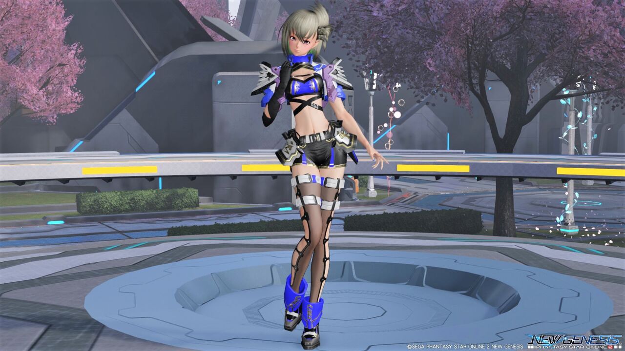 《PSO2･NGS》ARKSコーディネート部｡:↳♡N‐ｺｰﾃﾞ