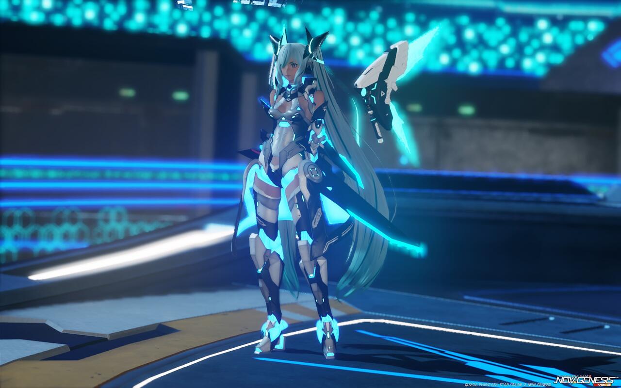 【PSO2】うちの子、少しカスタマイズ。 : ぷそから。