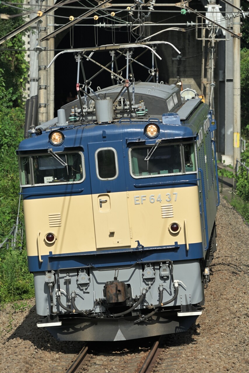 美しきEF64 37号機 Yanagawa : 混合列車 [記憶に残る鉄道情景] Railway Photos