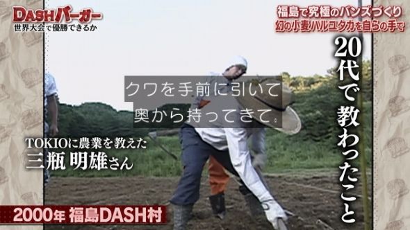 『ザ！鉄腕！DASH！！』TOKIOが究極のバンズを作るために小麦を育てるところから始める : くまニュース