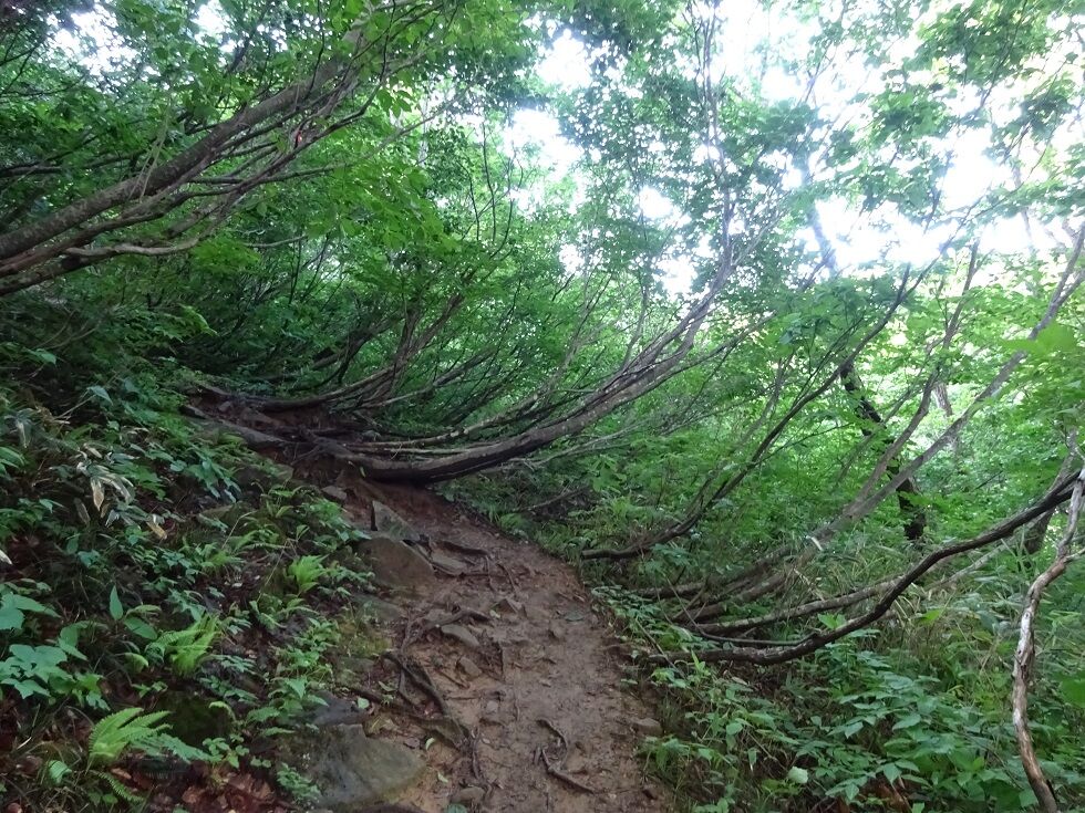 Niigata : quaternary258のblog