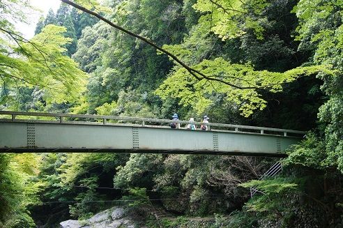 07_08 Kiyotaki : quaternary258のblog