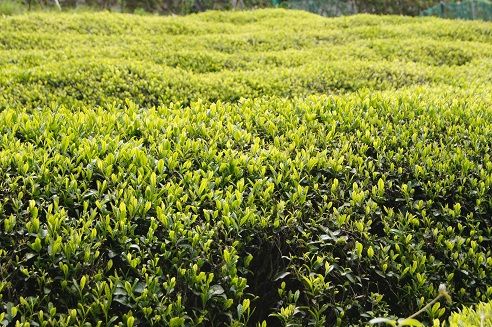 2012年05月 : quaternary258のblog