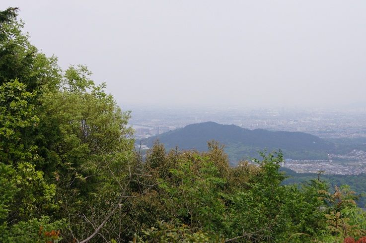 2012年05月 : quaternary258のblog