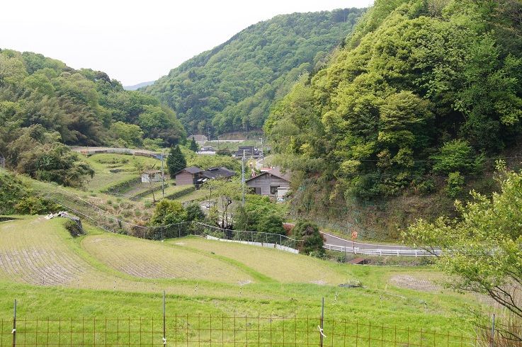5_07 Mt. Iwama (Kasatori) : quaternary258のblog