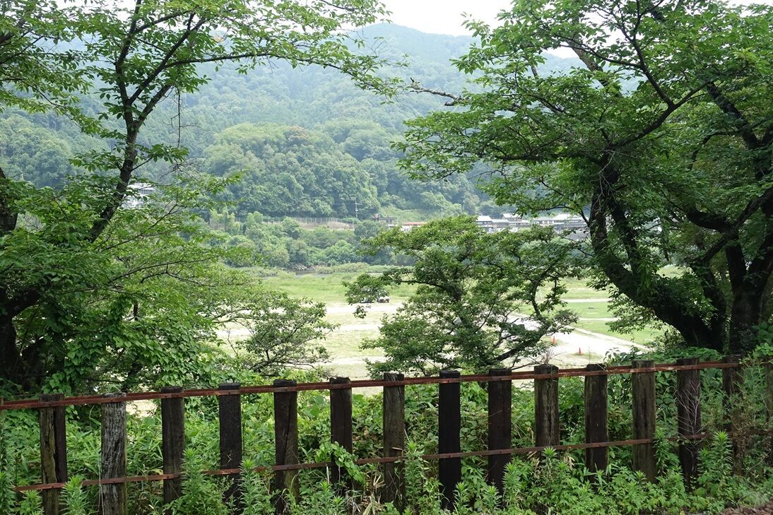 quaternary258のblog