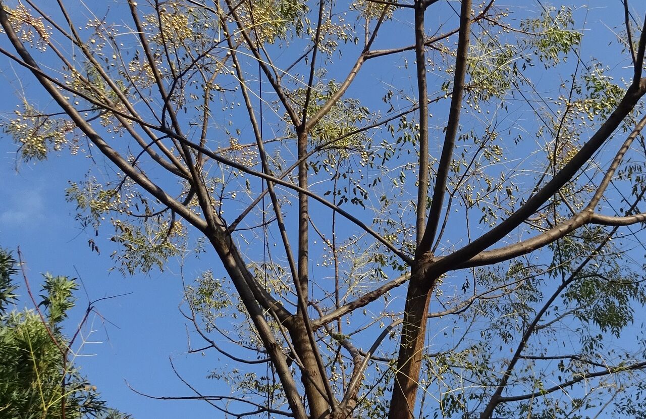 1228 Okayama : quaternary258のblog