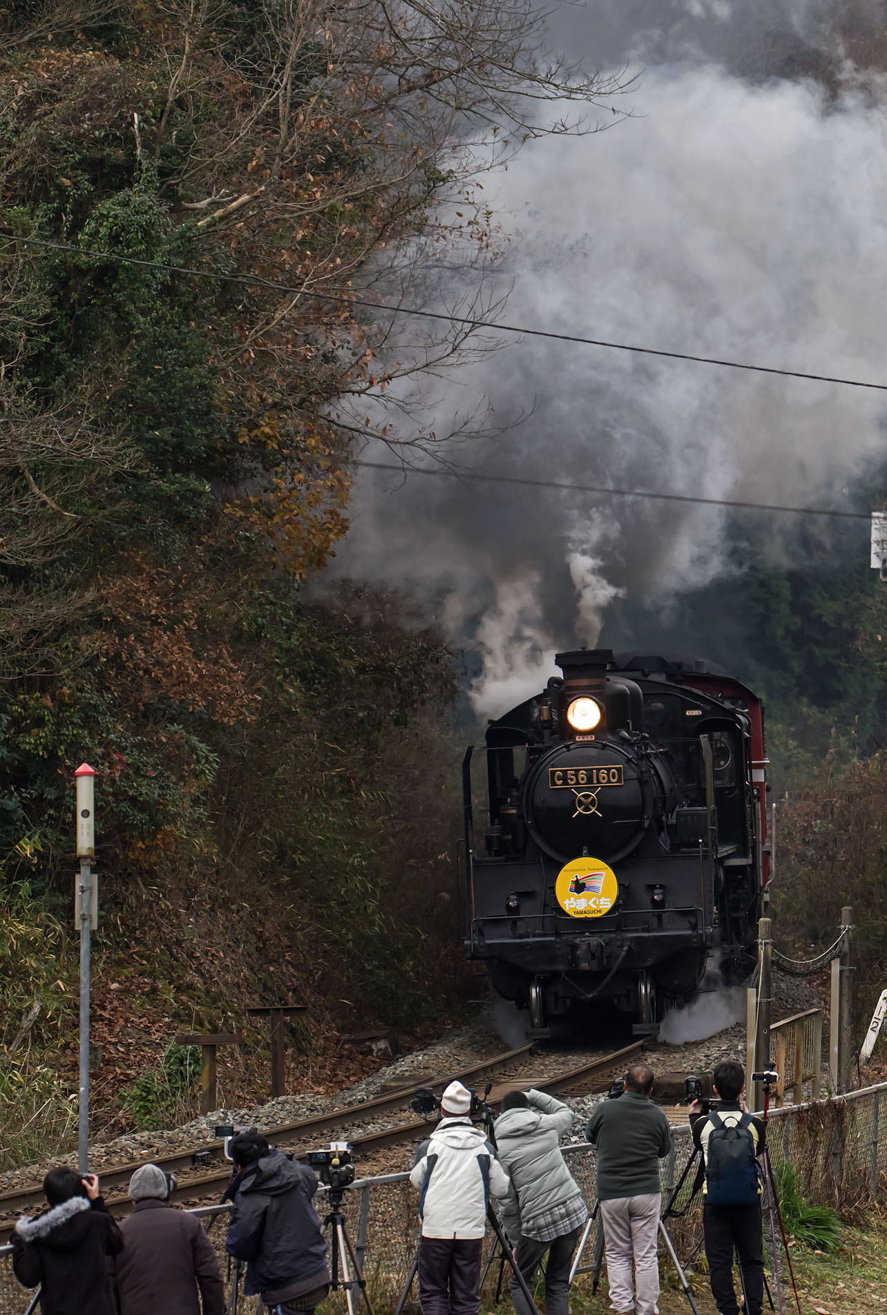 2017年最後のSL運行( `ー´)ノ 1/2・・・SLやまぐち号C56 + DD51 : 写真を撮るということ山口県（旧：野鳥を撮るということ）
