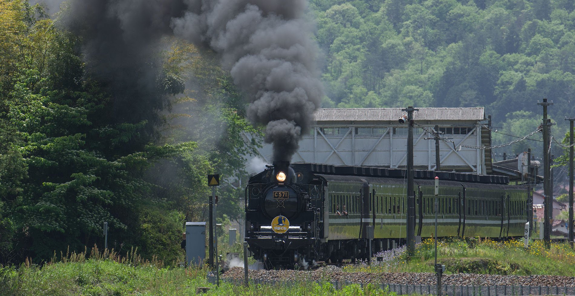 5月連休10日目！2/2・・・SLやまぐち号C571、ﾂﾊﾞﾒ : 写真を撮るということ山口県（旧：野鳥を撮るということ）