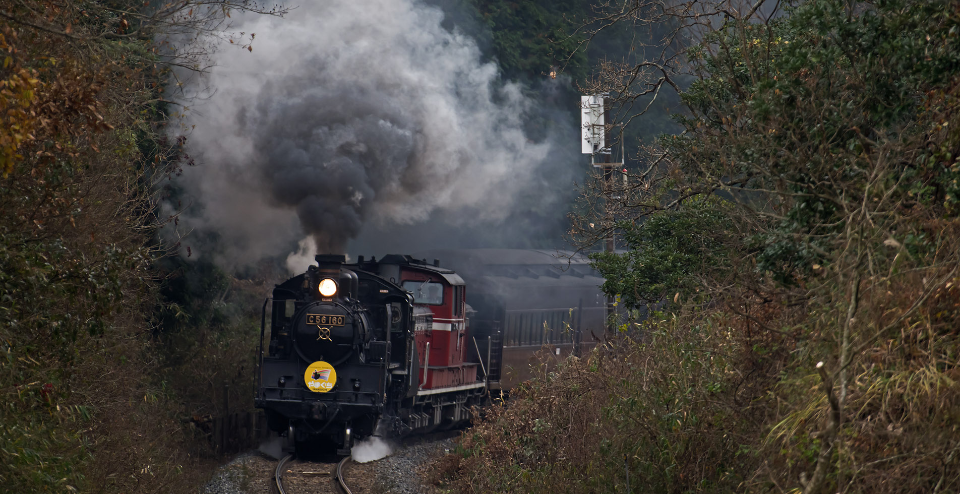 2017年最後のSL運行( `ー´)ノ 1/2・・・SLやまぐち号C56 + DD51 : 写真を撮るということ山口県（旧：野鳥を撮るということ）